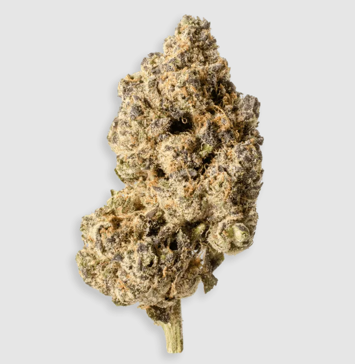 Pave Runtz THCA | The Hidden Leaf