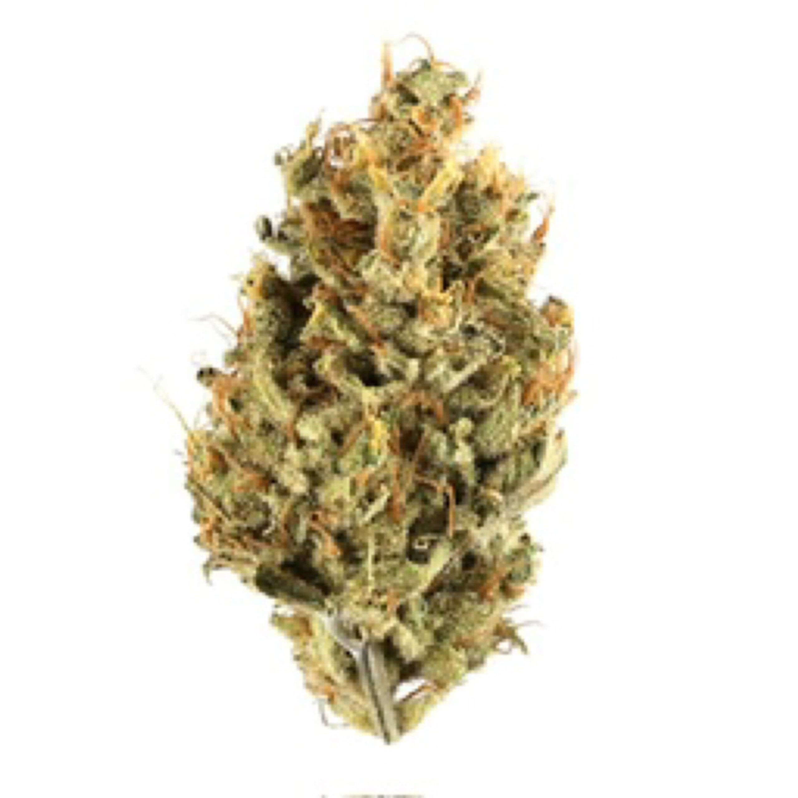 Gorilla Butter THCA | The Hidden Leaf